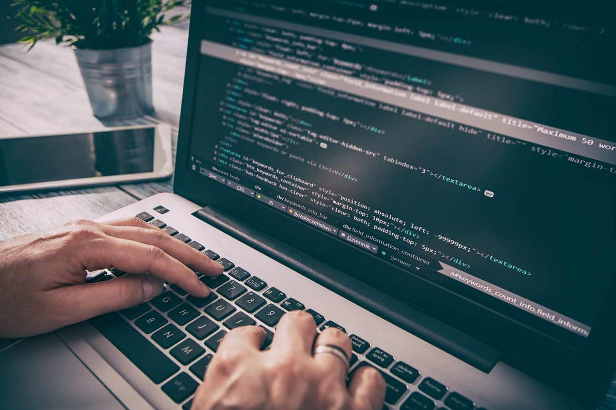 LOST IN THE WOODS OF PROGRAMMING LANGUAGES? - PROBEGIN